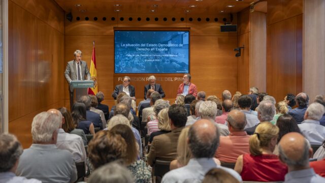 La situación del Estado Democrático de Derecho en España - Fundación ...